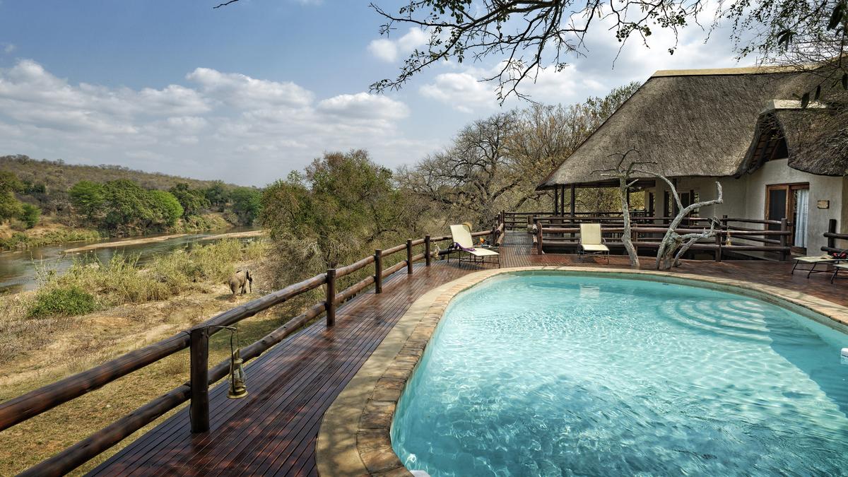 NYATI Cheetah Camp | Privat safaricamp i hjertet af Kruger National ...